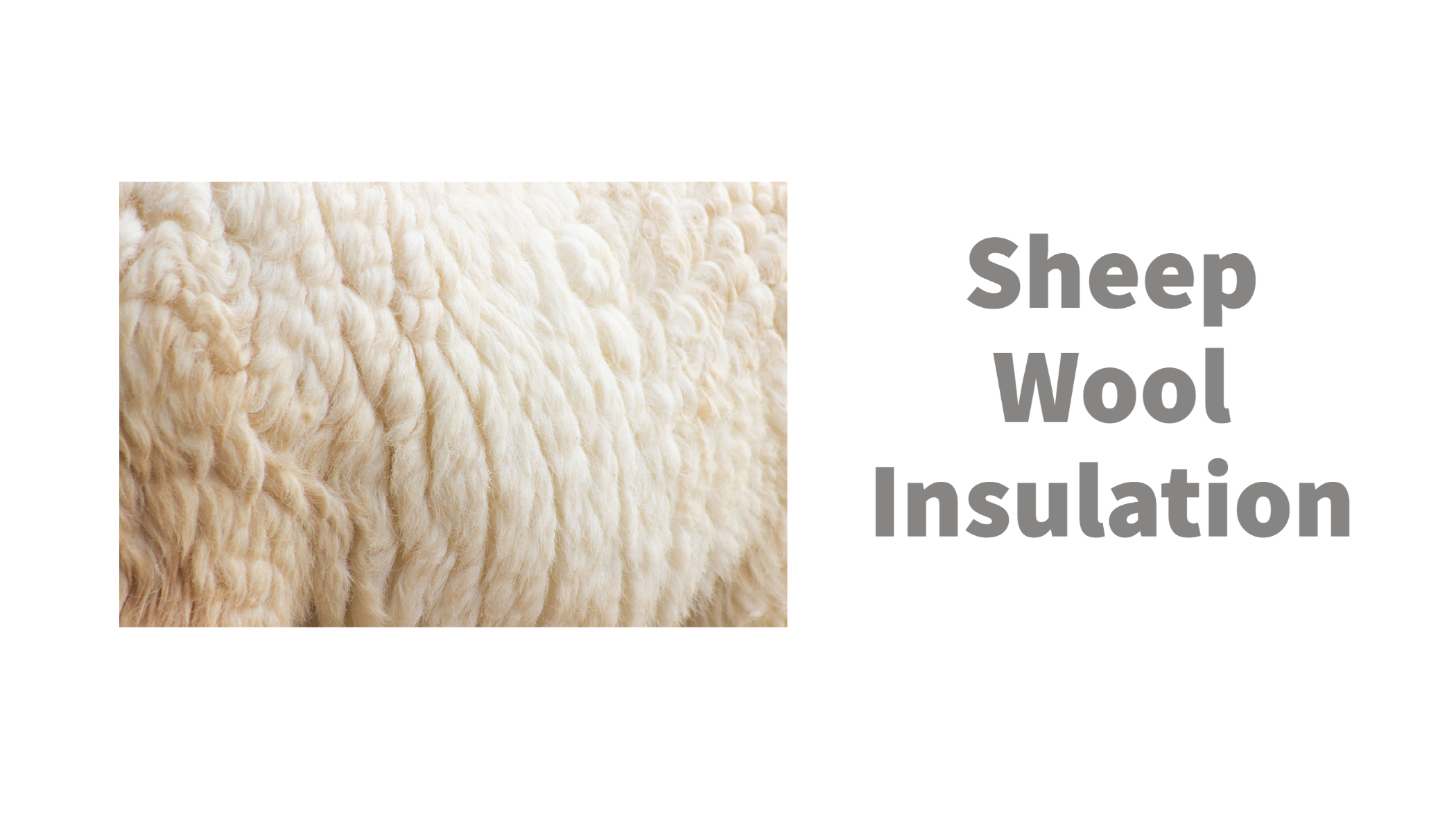 What Type of Insulation is Best for Vans? – Vintage RV Adventures